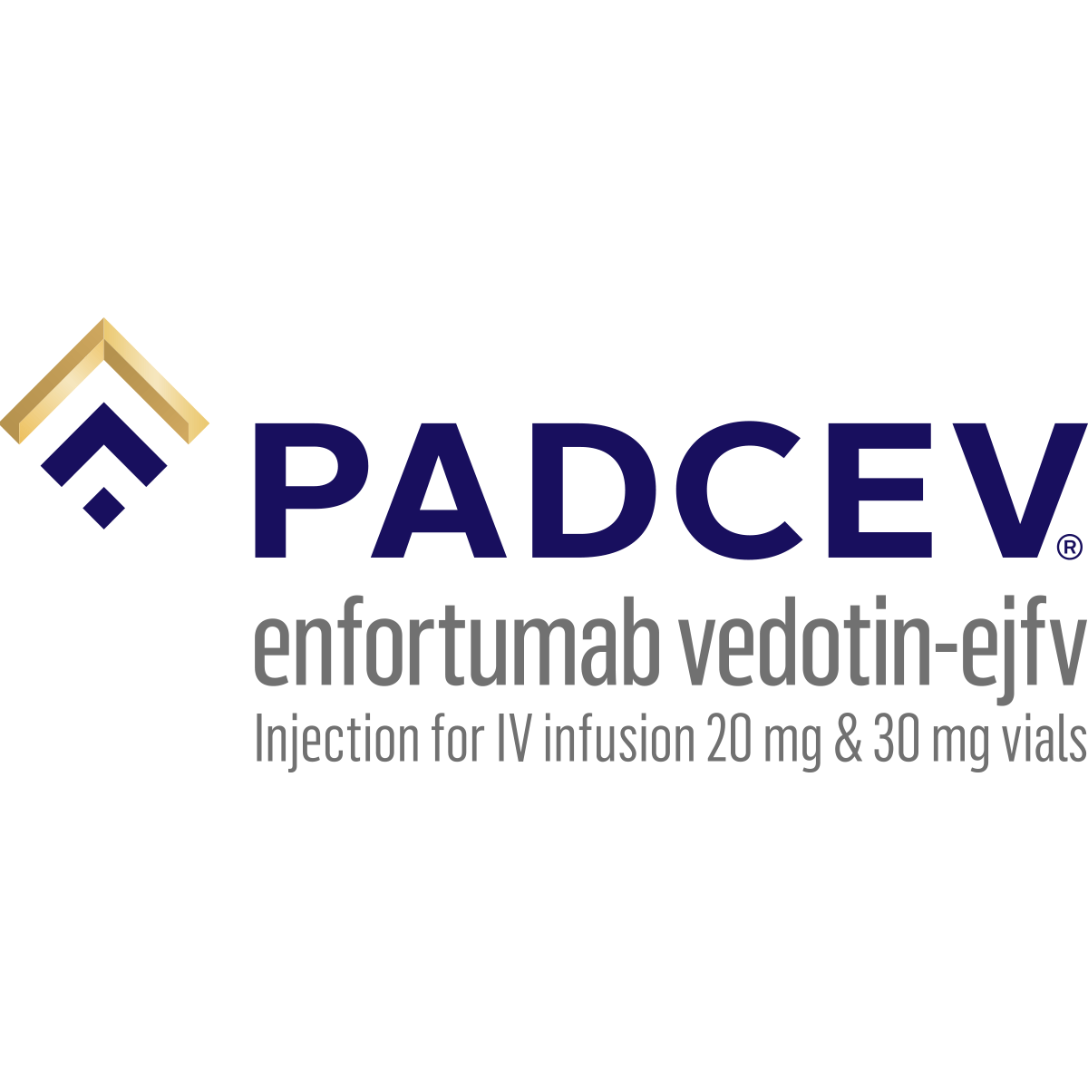 PADCEV Safety